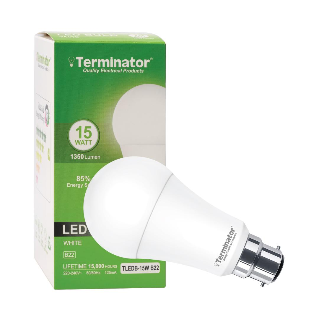 LED Bulb 15W Day Light B22